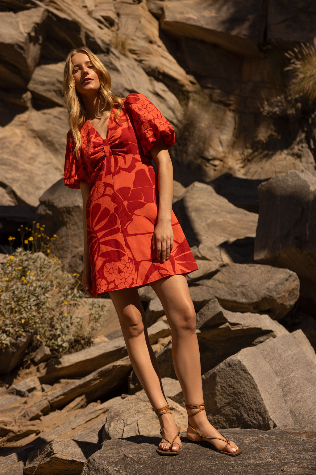 New Arrivals are here | Marie Oliver